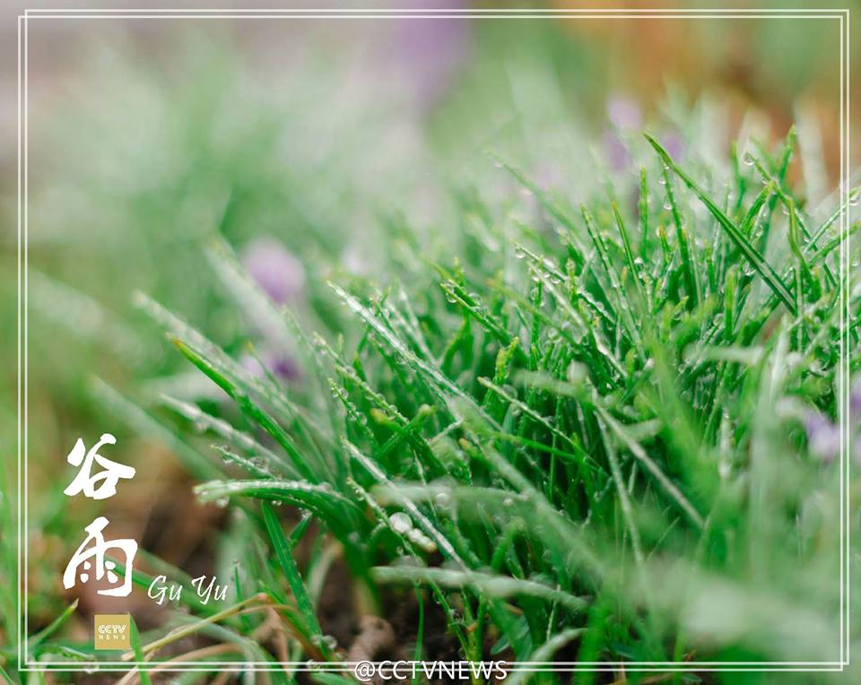 Explore China's Culture - 5 things you may not know about Grain Rain ...